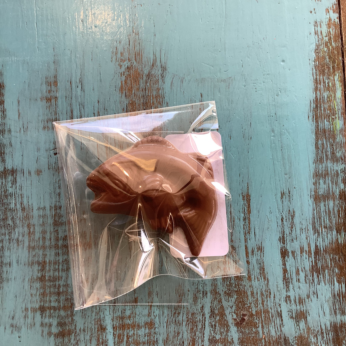Solid Milk Chocolate Bass – Chocolate Corner Gulf Shores